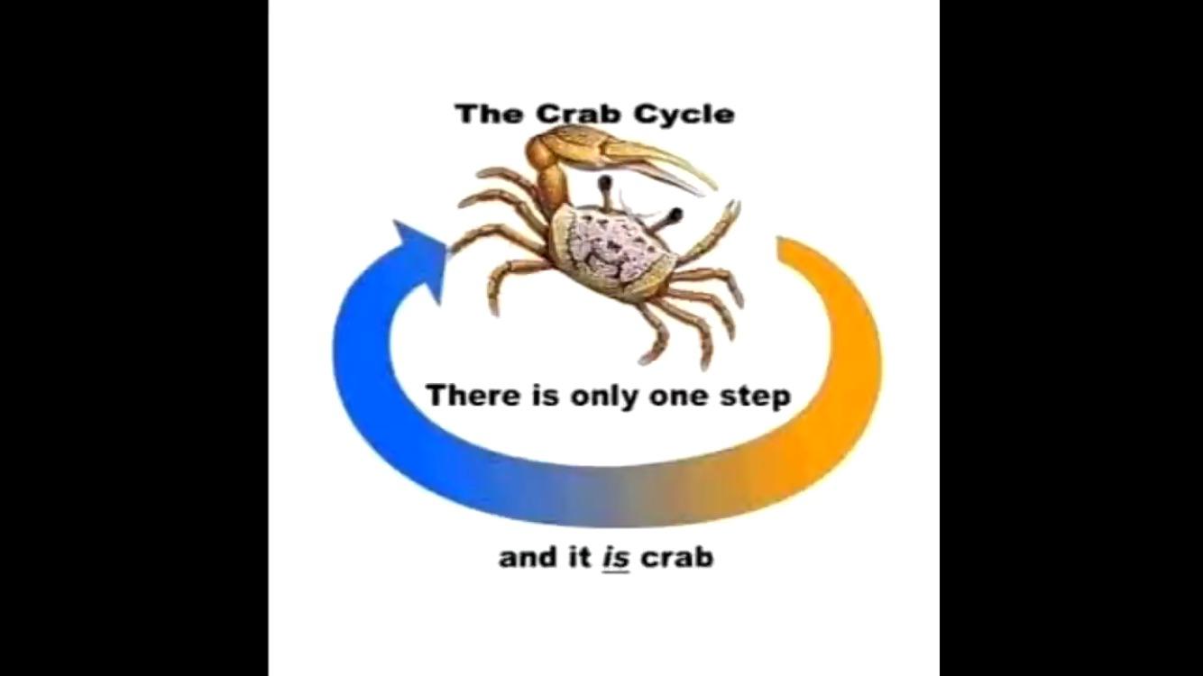 crab | Scrolller