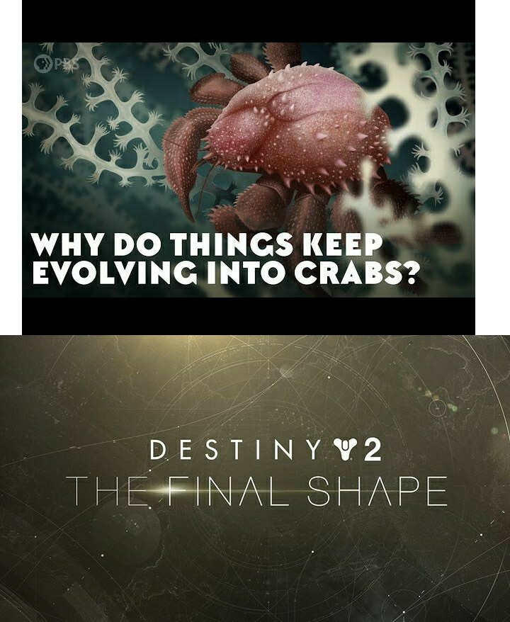 Crab rave | Scrolller