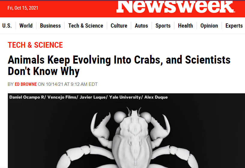 Crab Rule | Scrolller