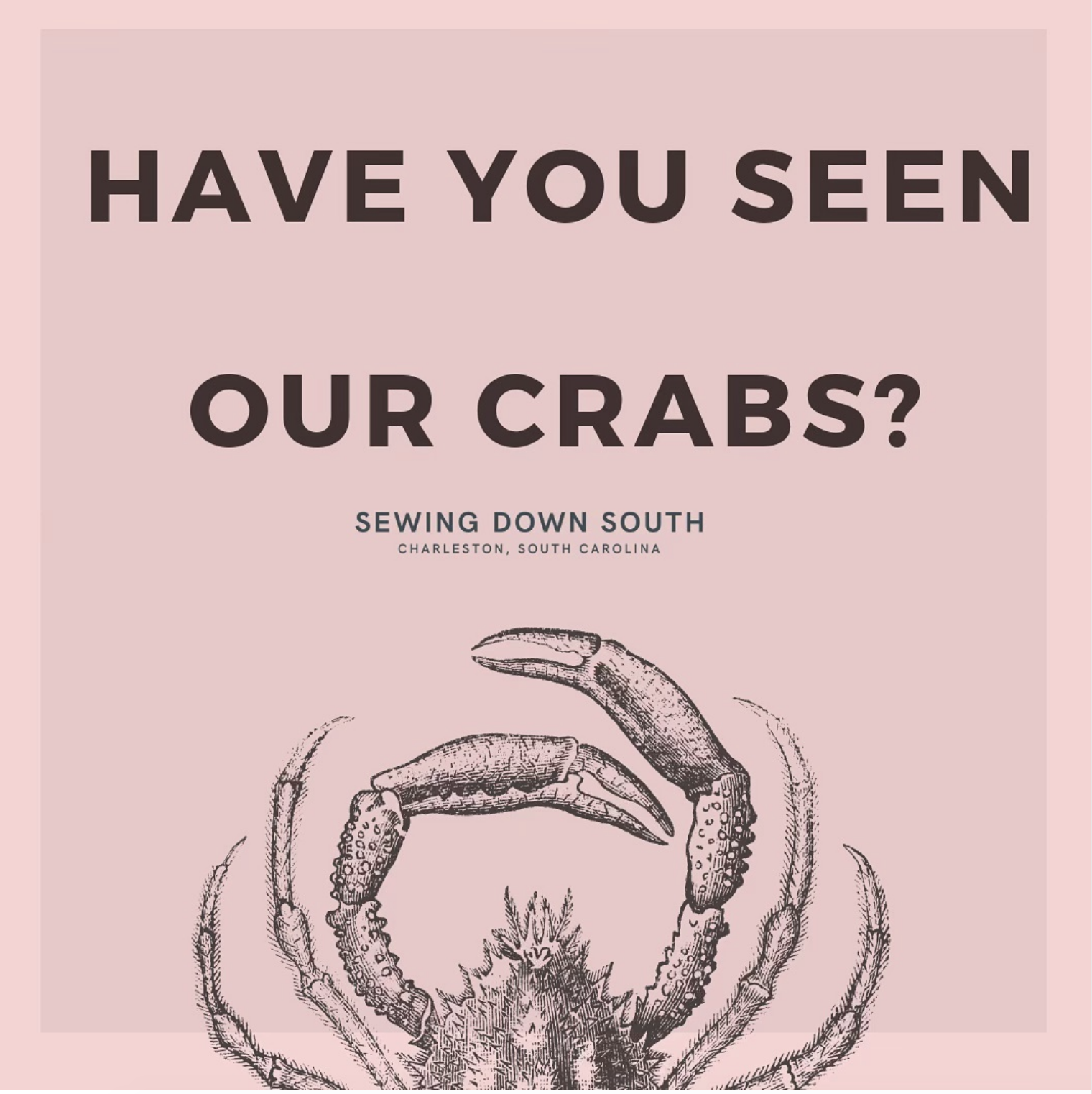 Craigy Is Giving Us All Crabs 🦀🦀🦀 | Scrolller