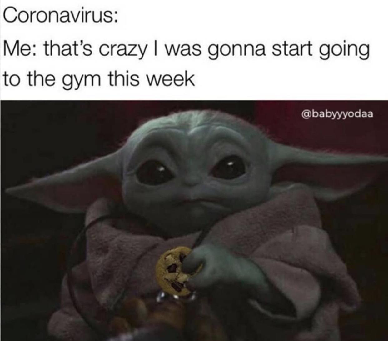 Crazy, ruined my future plans | Scrolller