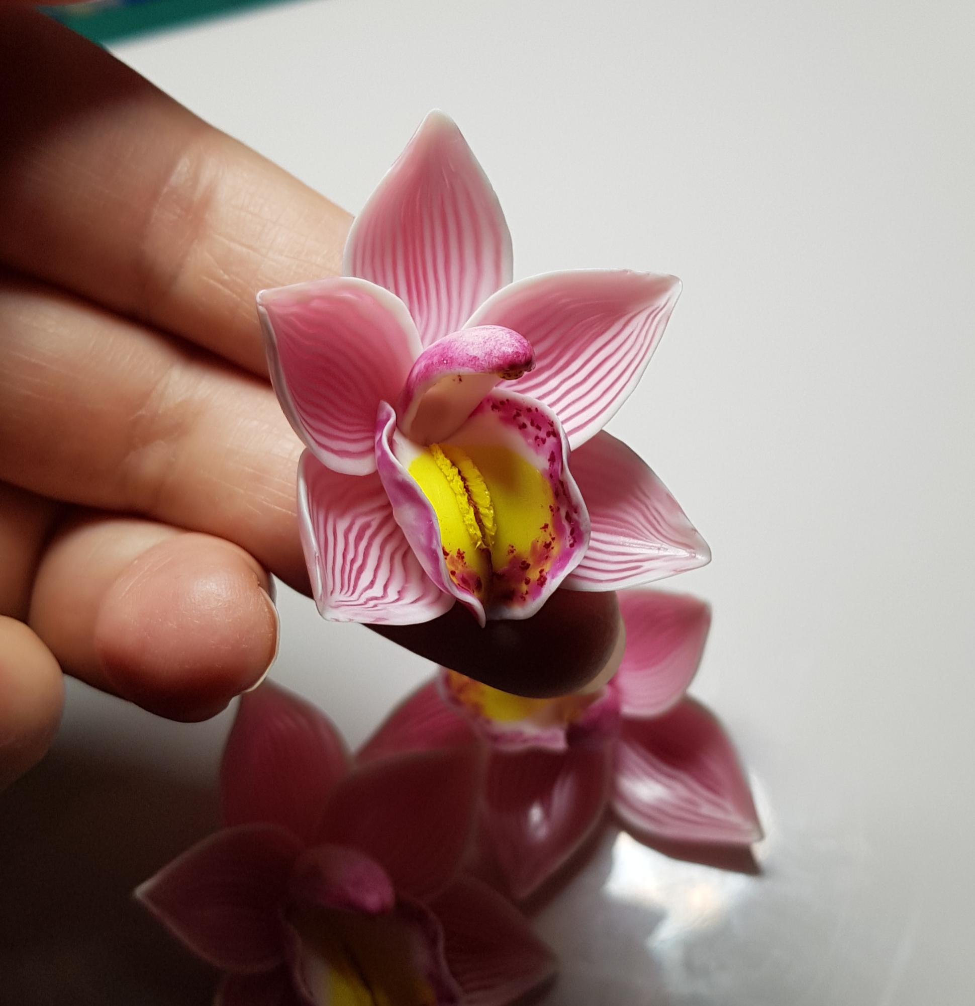 Create orchid for my new project | Scrolller