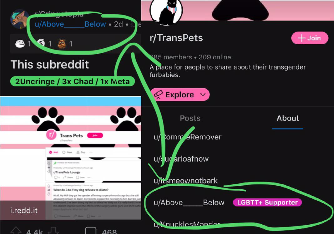 Creating a subreddit just to post it on r/Cringetopia | Scrolller