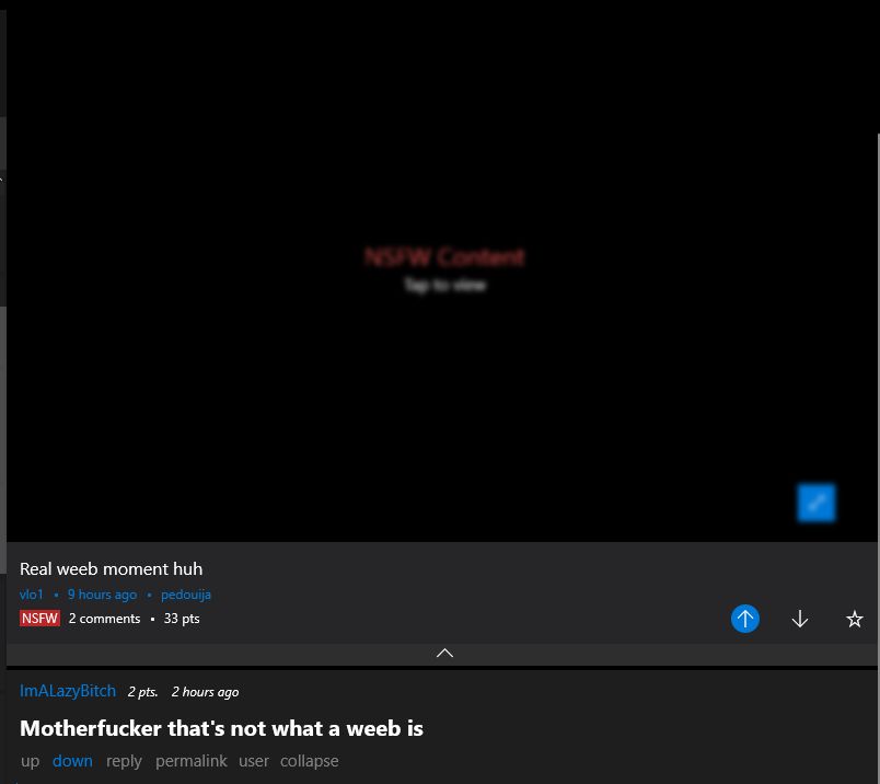 Cringe weeb doesn't know what a joke is | Scrolller