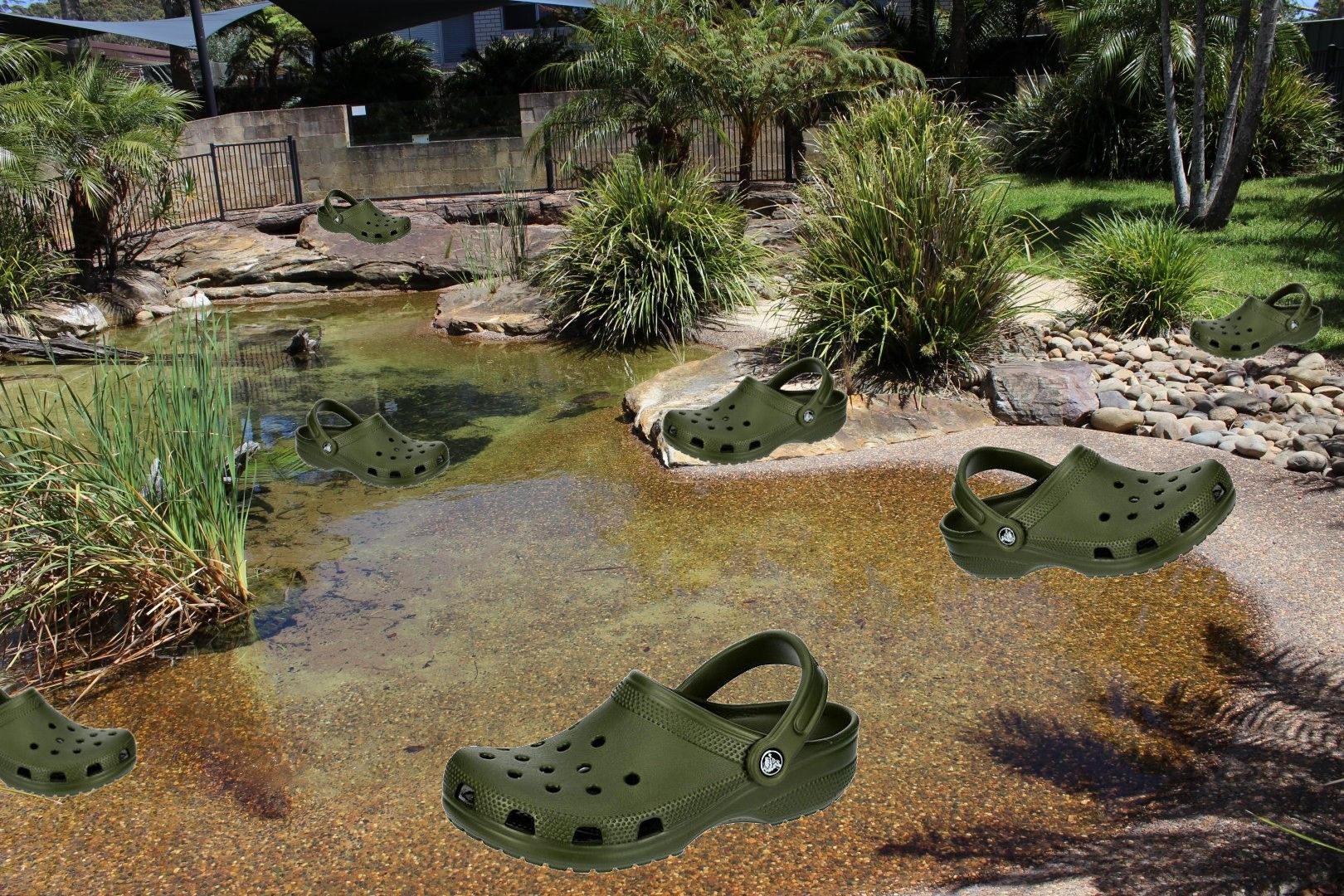 Croc exhibit more like Crocs exhibit | Scrolller