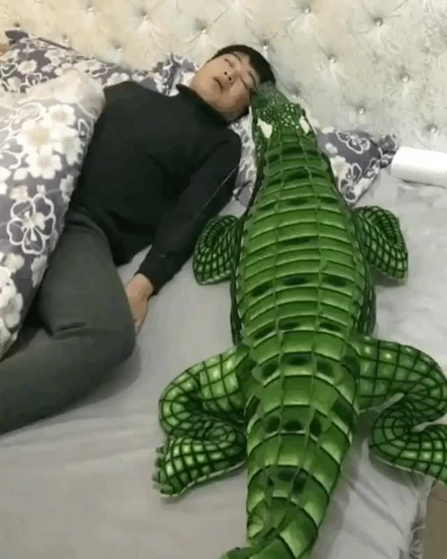 Crocodile | Scrolller