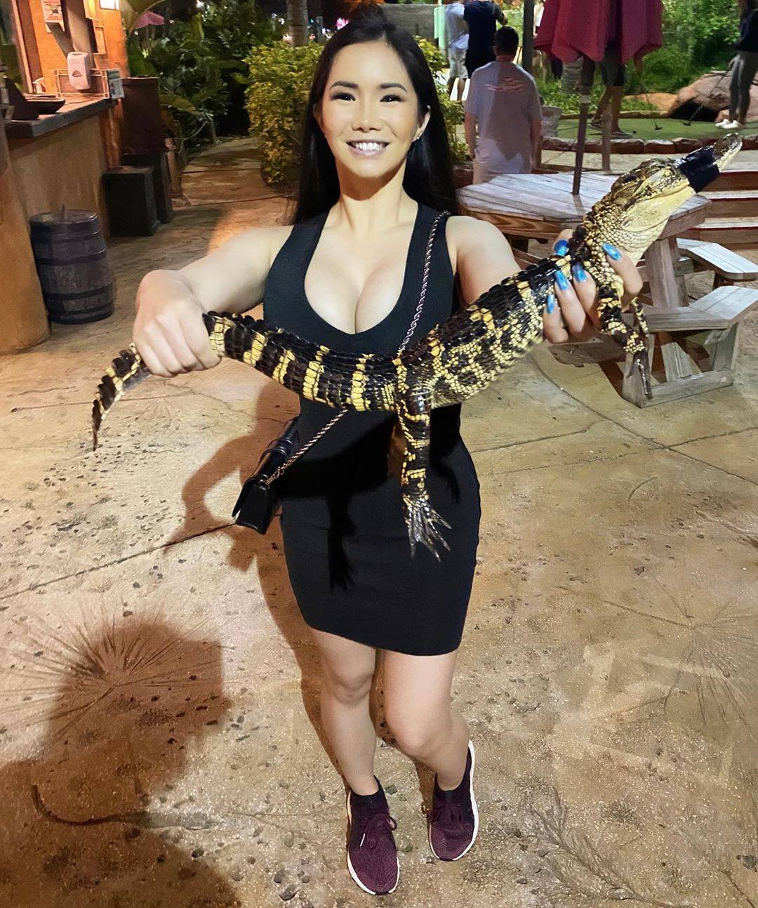 Crocodile | Scrolller