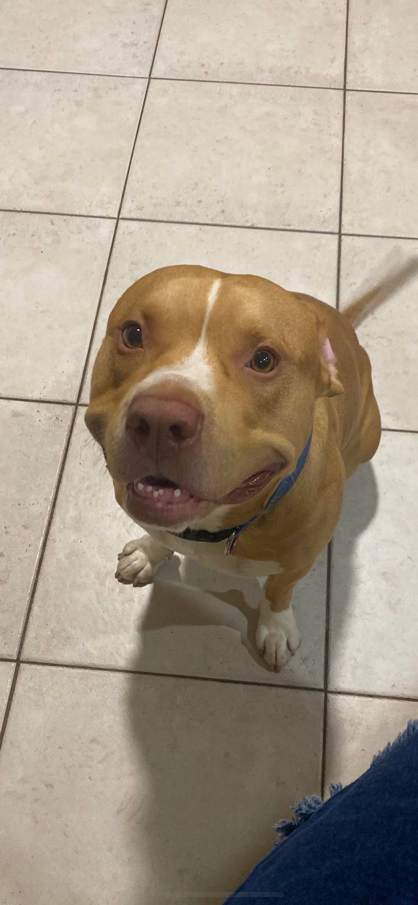 Crooked teeth and a missing tooth but still looks so handsome | Scrolller