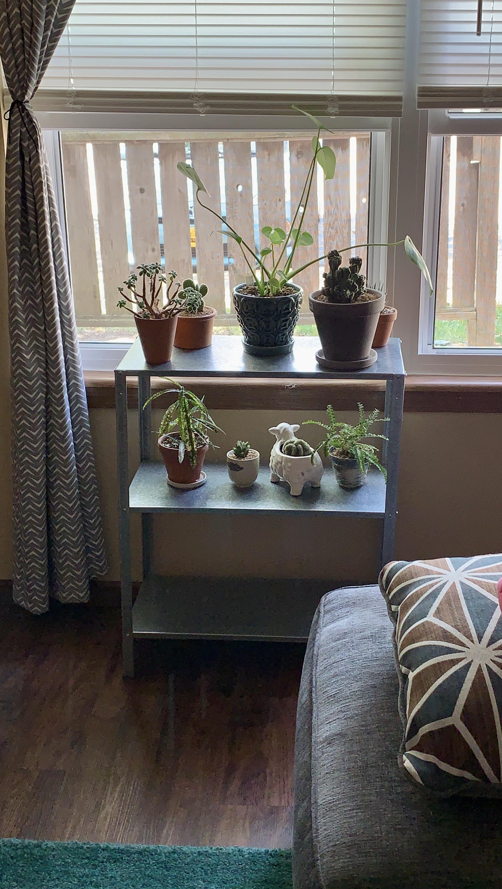 Cross posting to share my cuties! | Scrolller