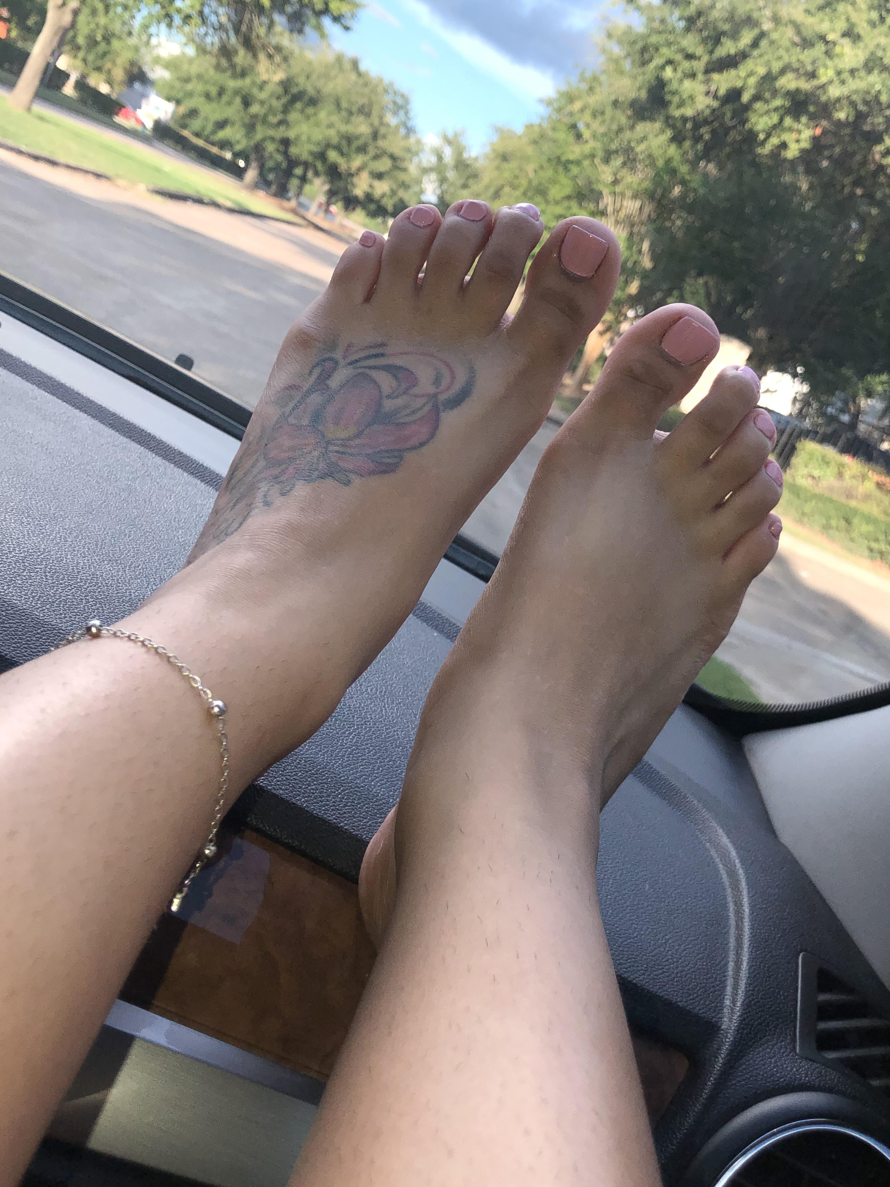 Cruising 🌸🍃 | Scrolller