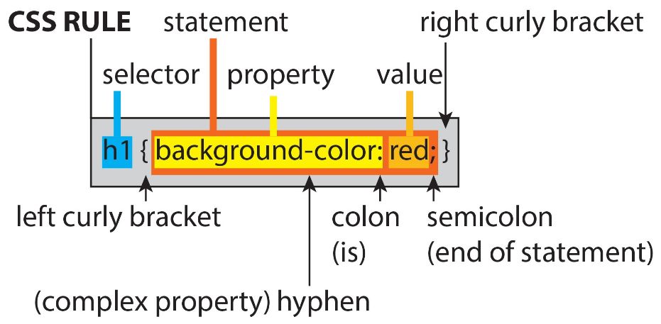 CSS Rule | Scrolller