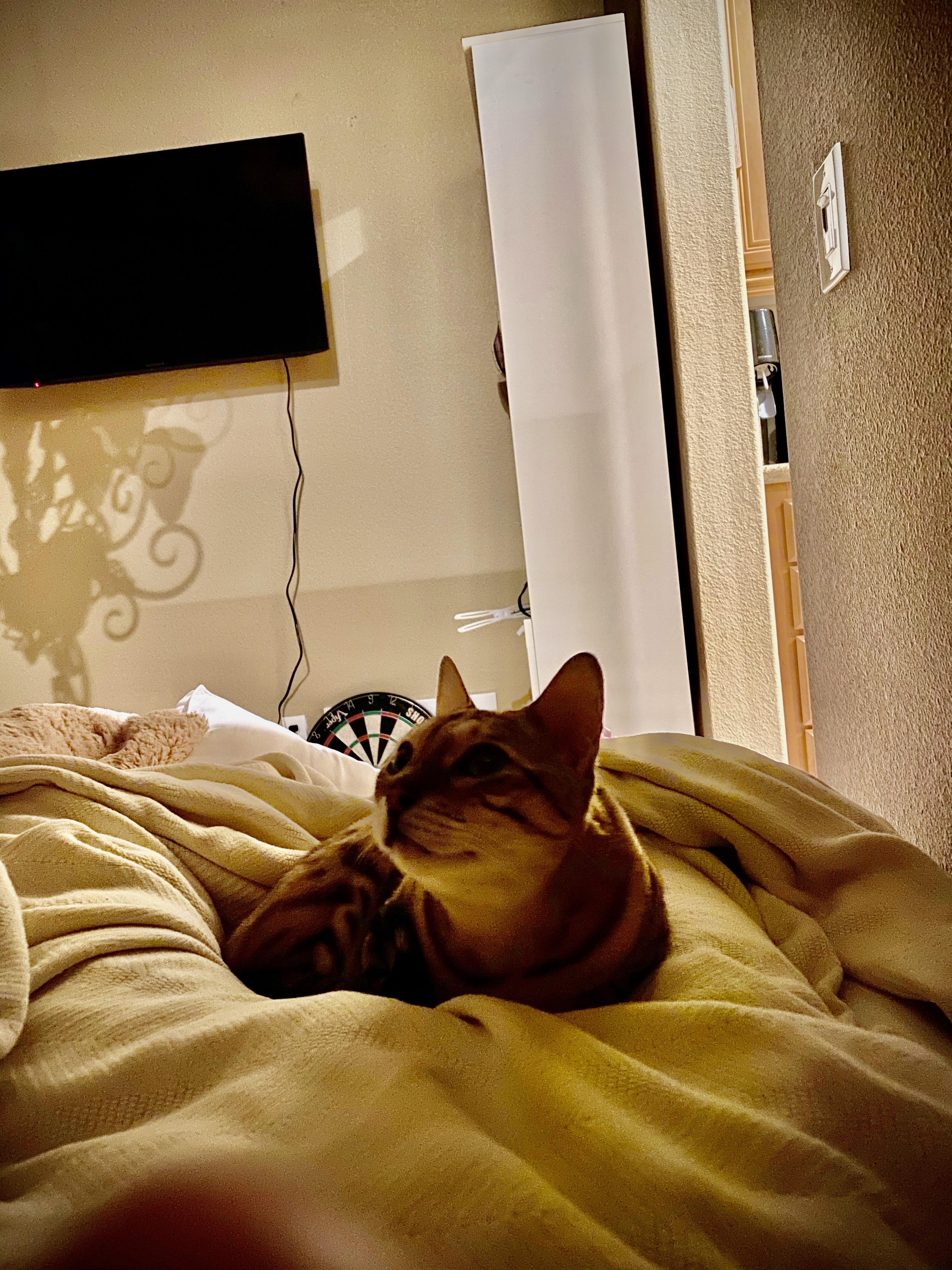 Cuddle bug | Scrolller