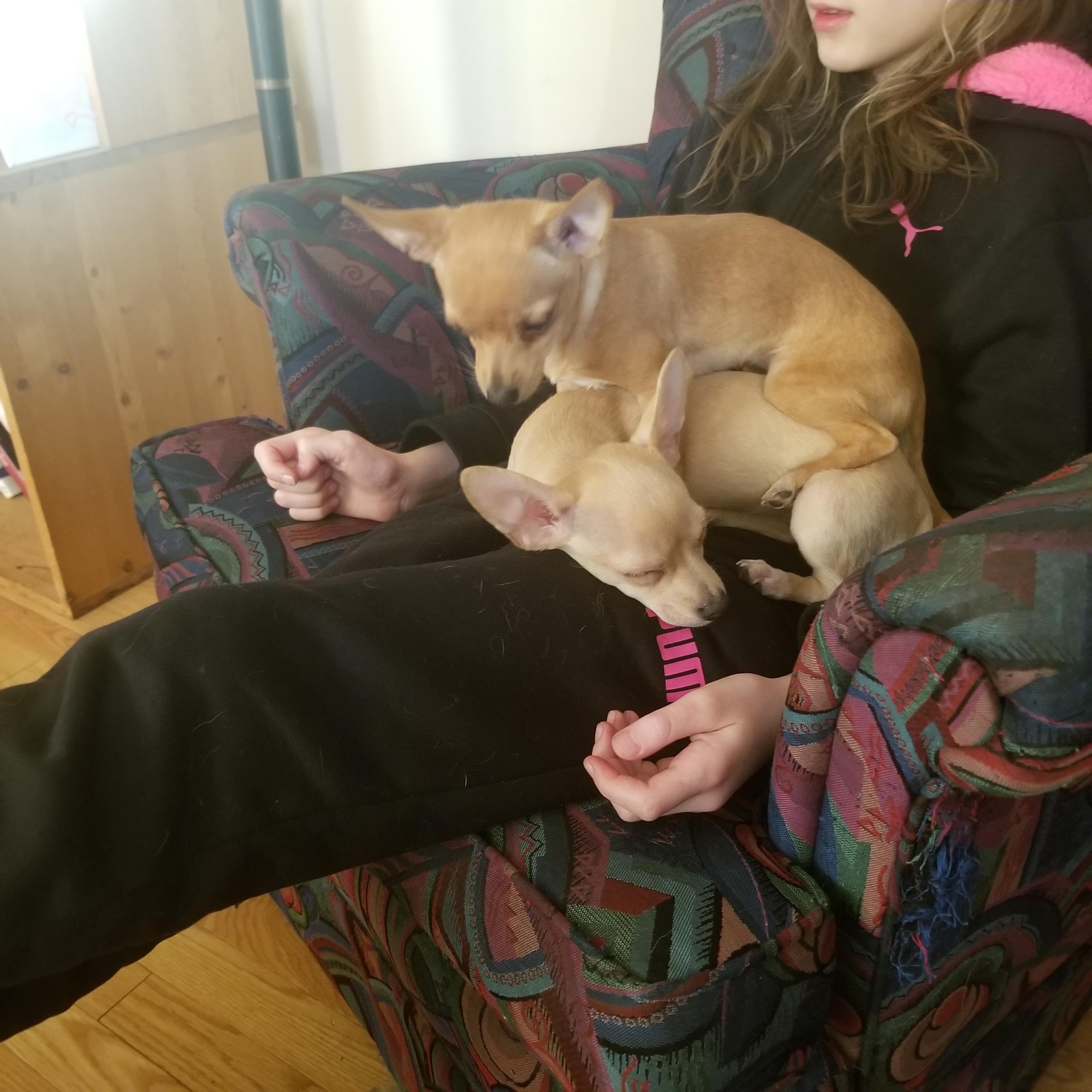 Cuddle puddle | Scrolller