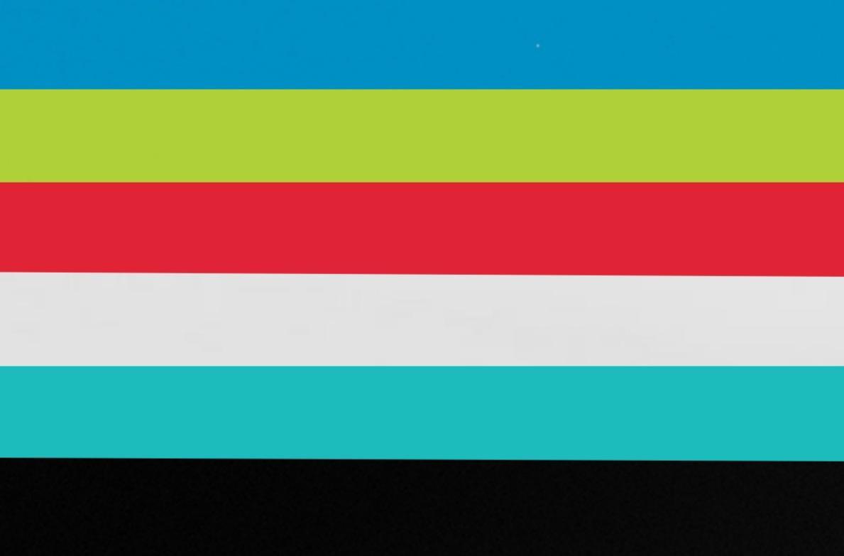 Cuomosexual Flag | Scrolller