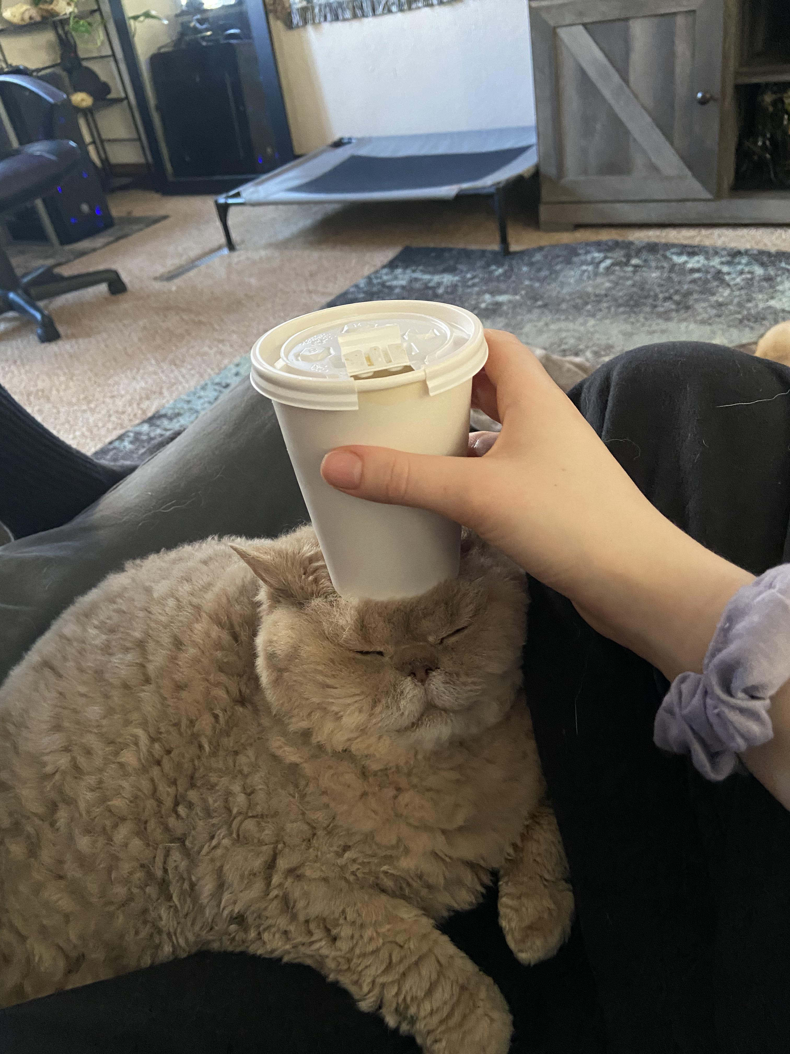 cup holder. | Scrolller