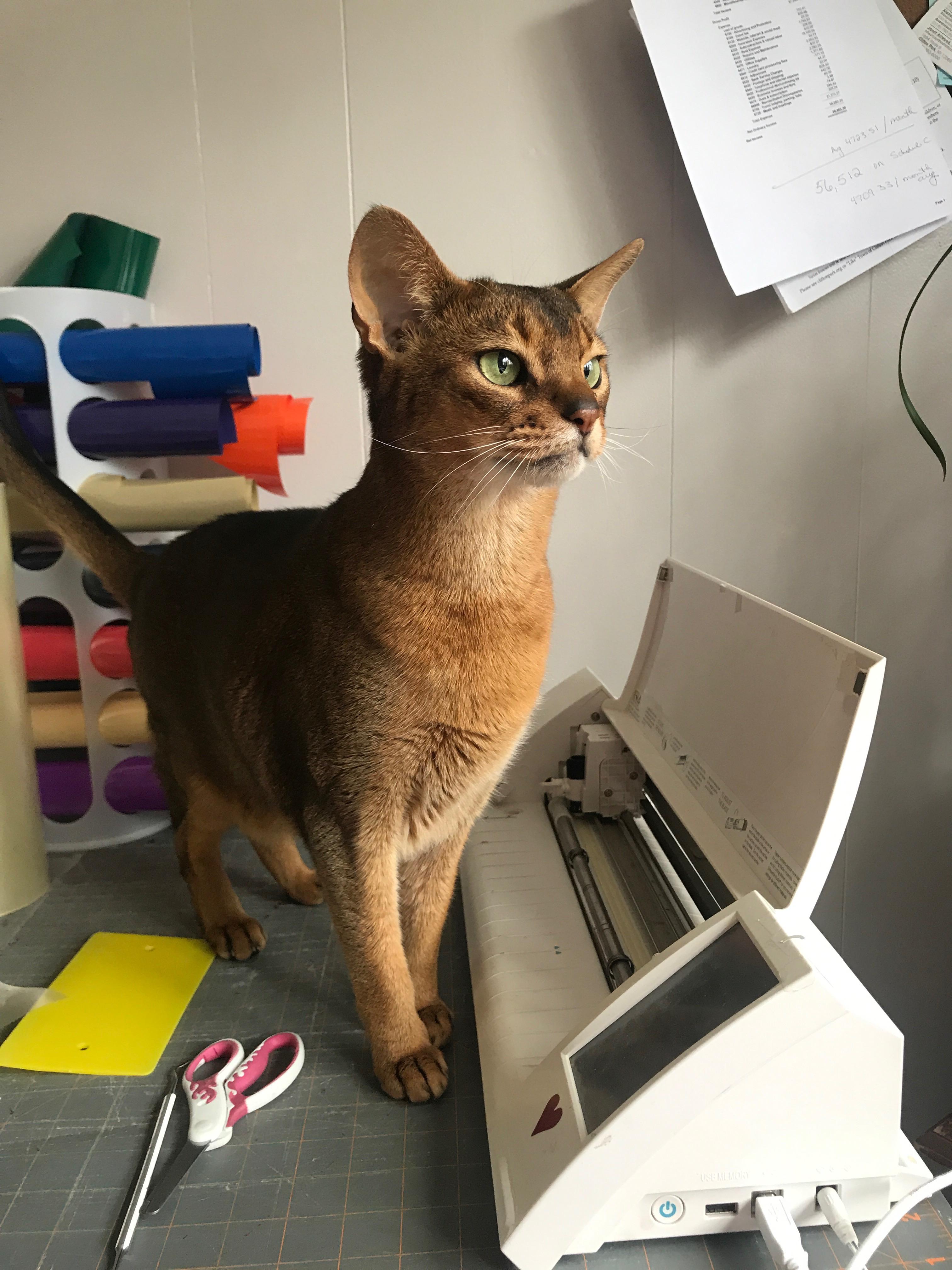 Curious boy | Scrolller