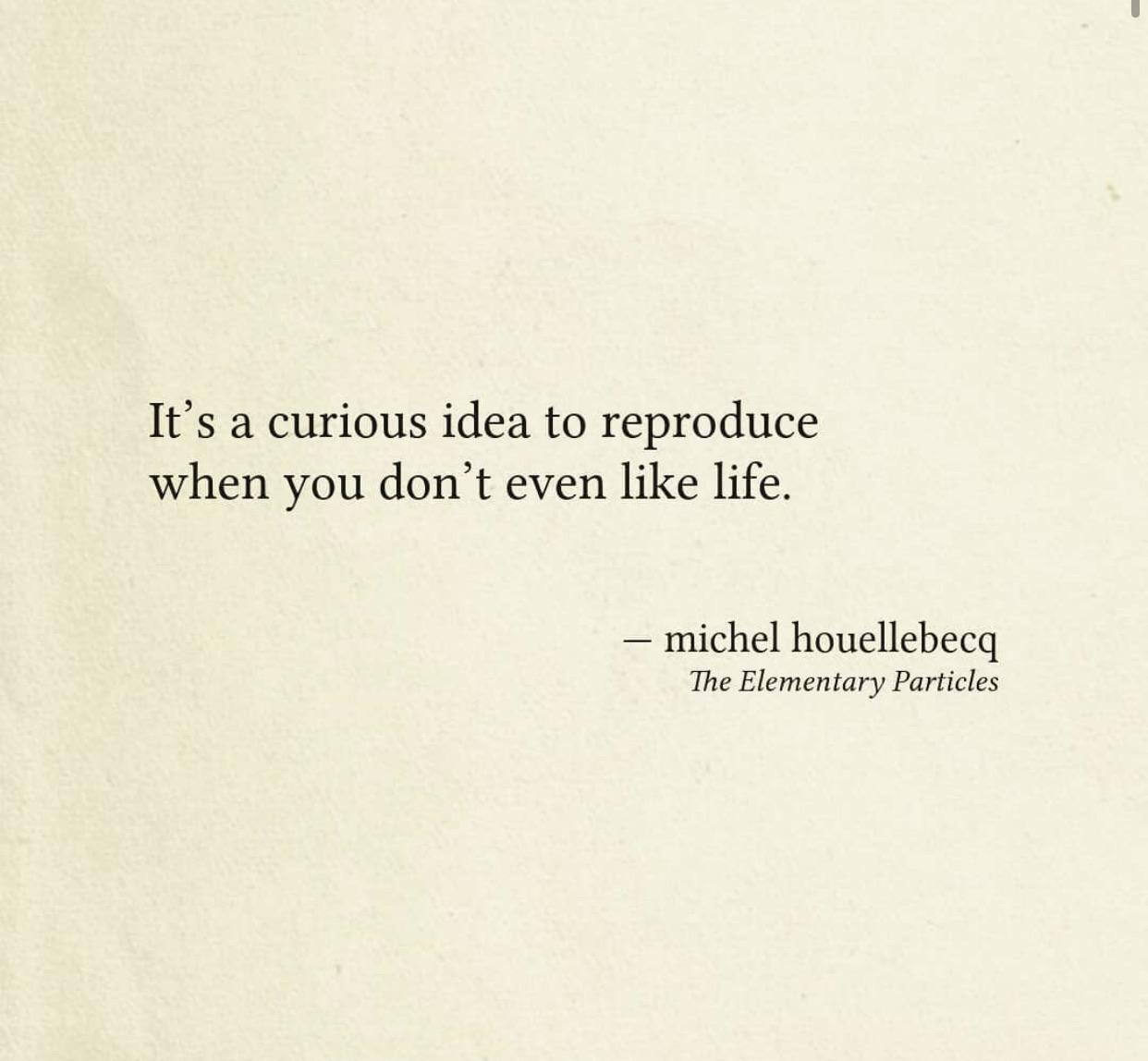 Curious, indeed. | Scrolller