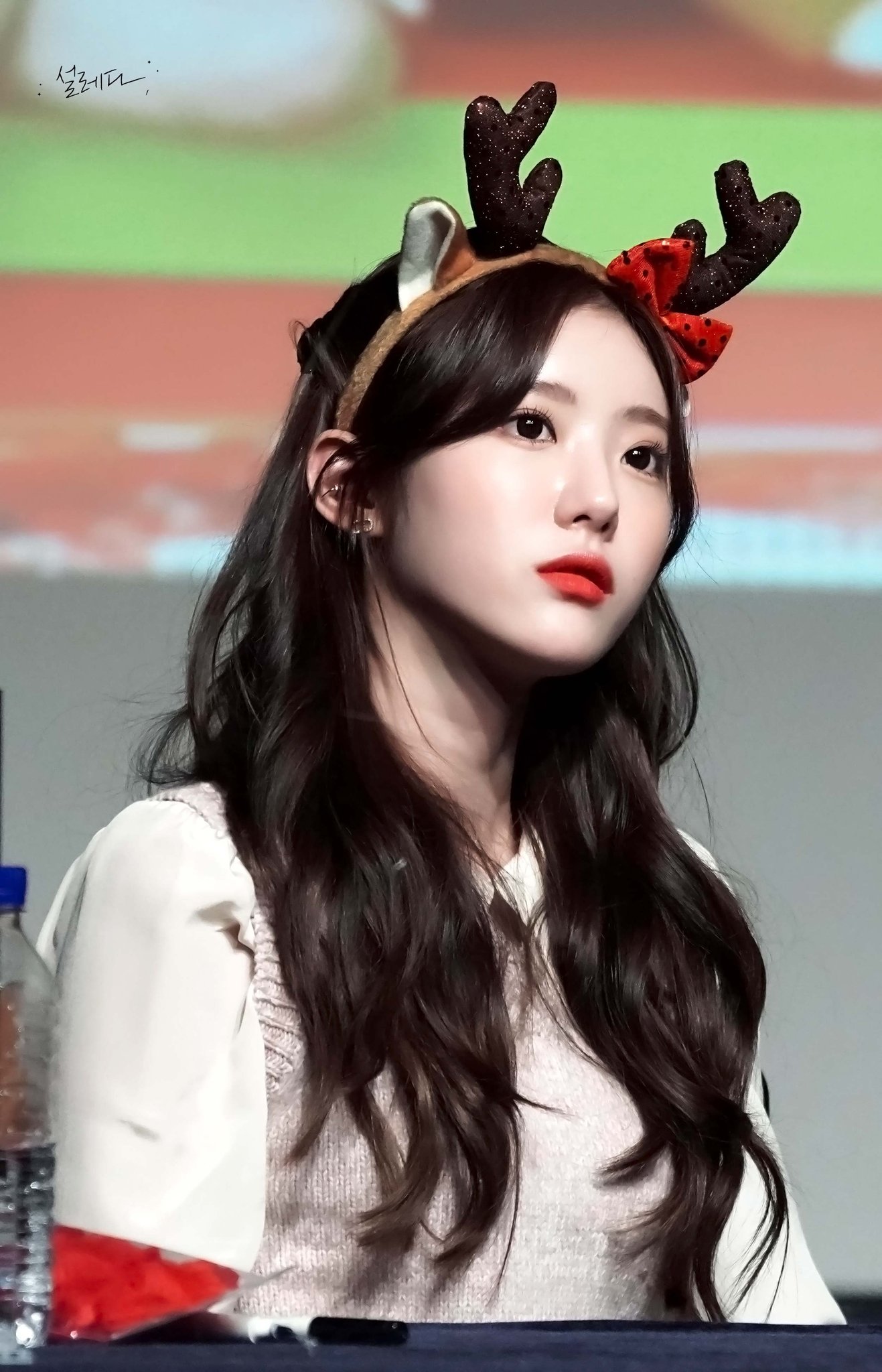 Curious Luda | Scrolller