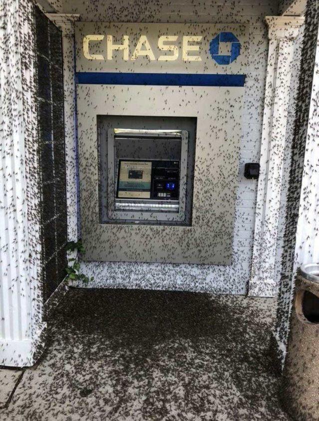 cursed_ATM | Scrolller