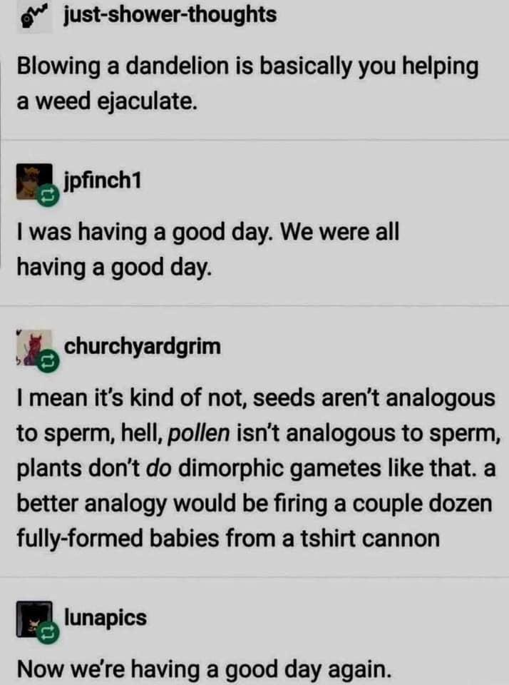 cursed_babycannon | Scrolller