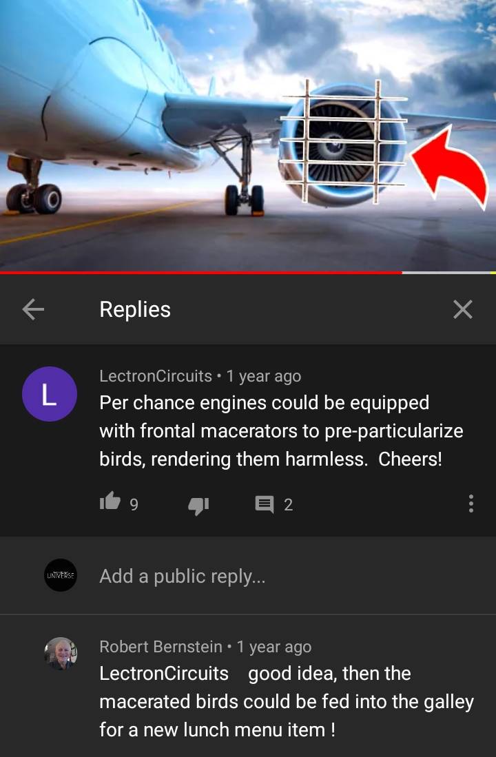 Cursed_birds | Scrolller