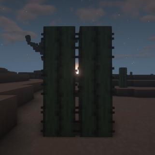 cursed cacti | Scrolller