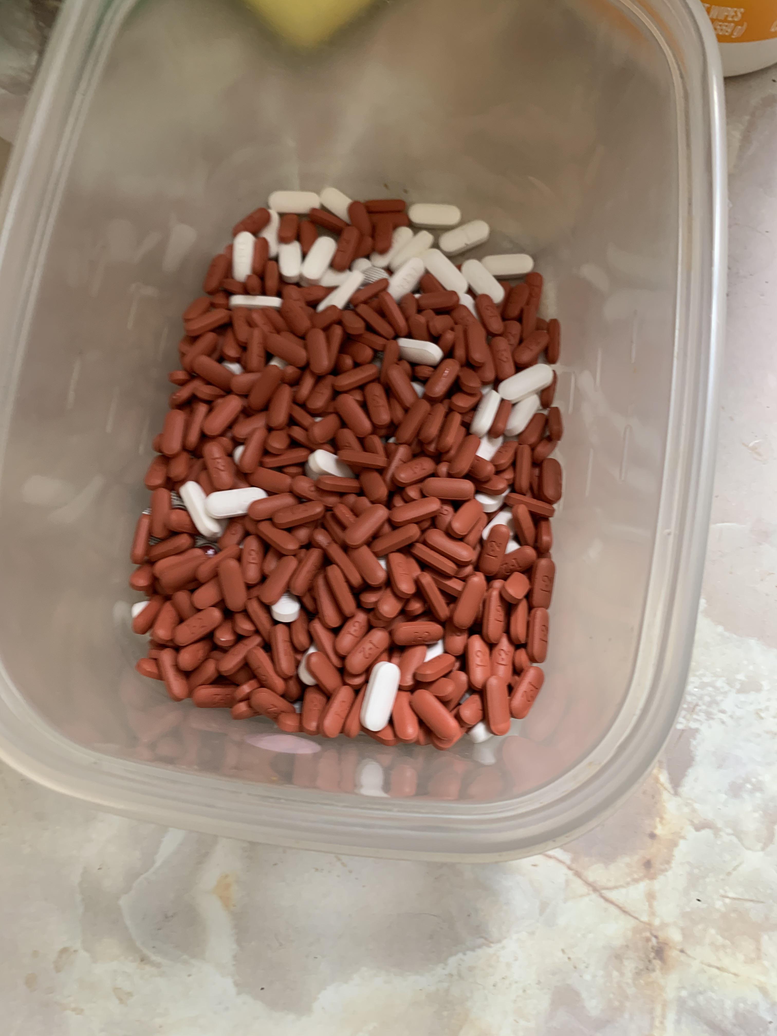 Cursed_Candybowl | Scrolller