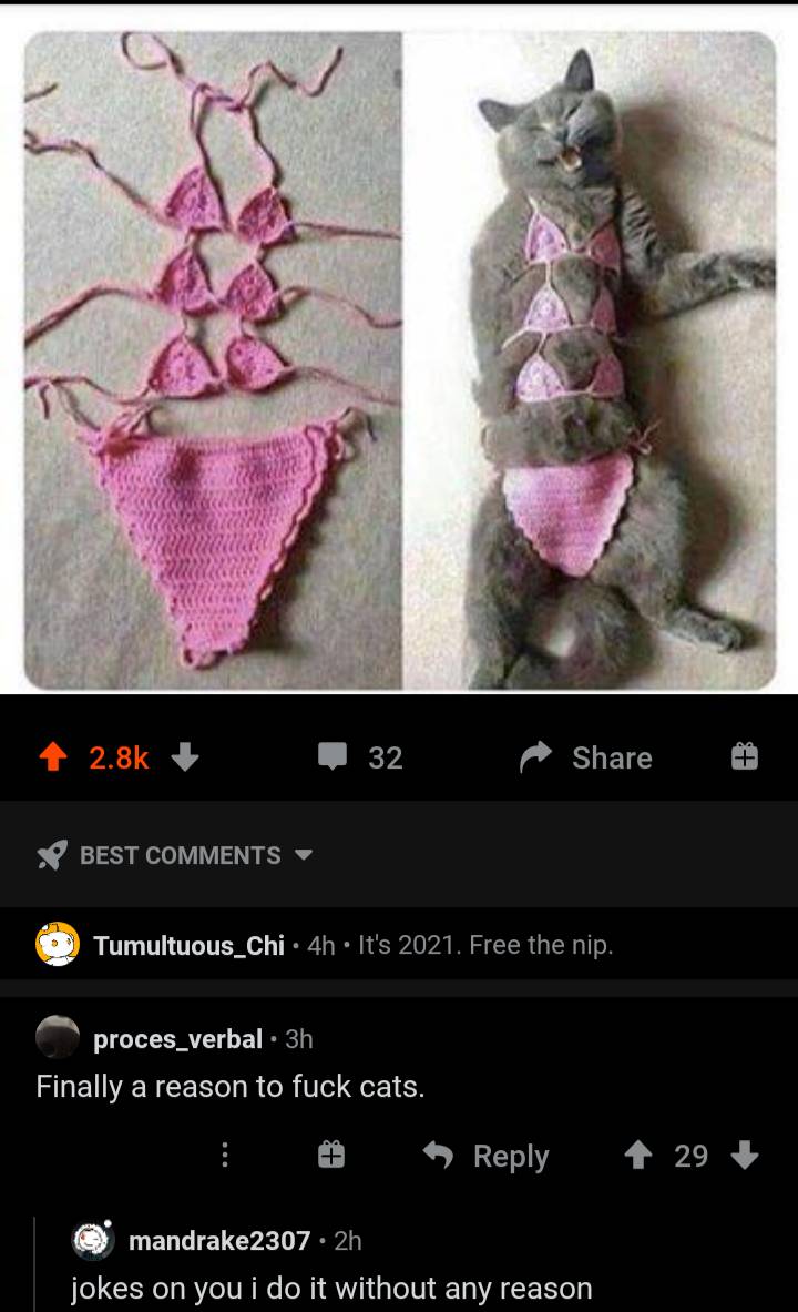 Cursed_cat | Scrolller