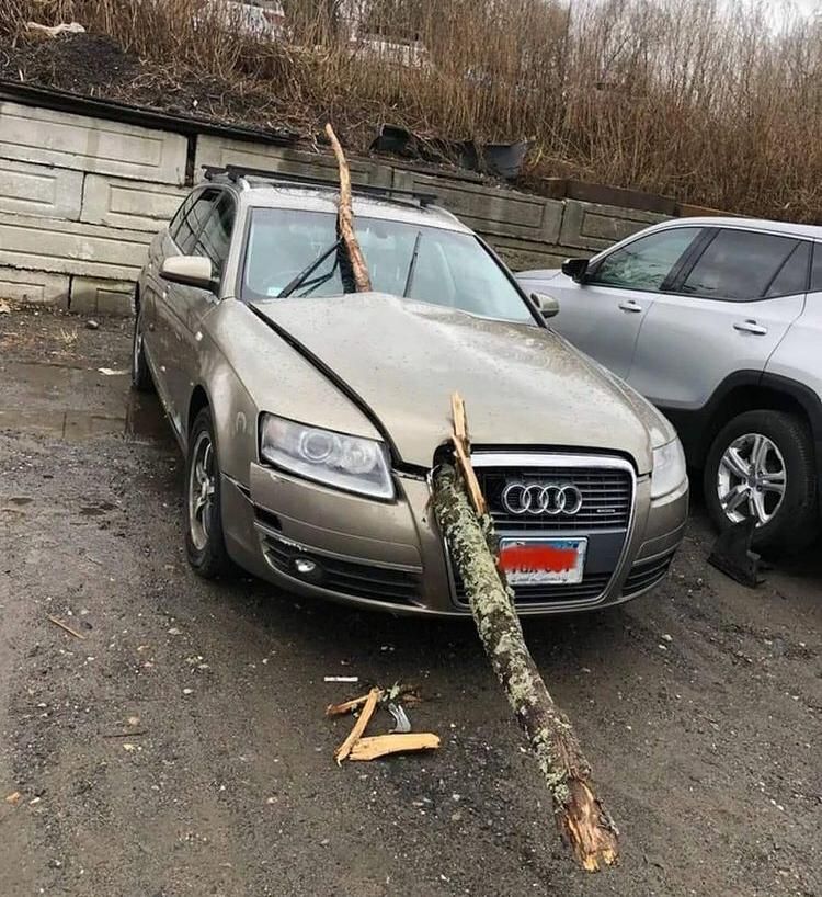 Cursed_Crash | Scrolller