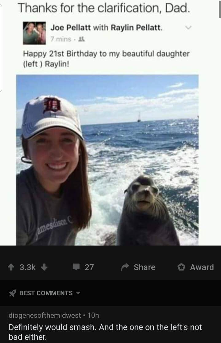 Cursed dad roast | Scrolller