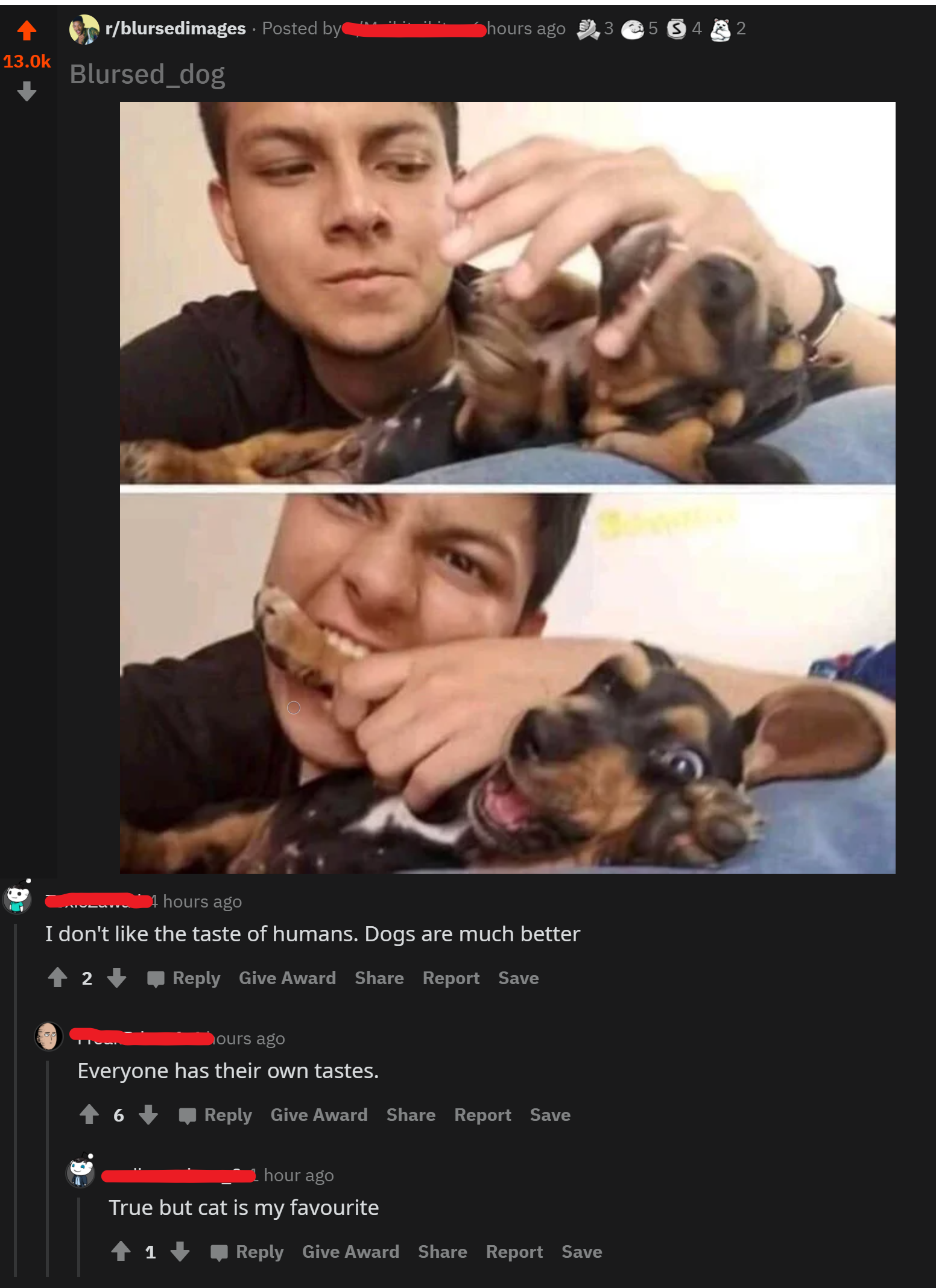 cursed_dog | Scrolller