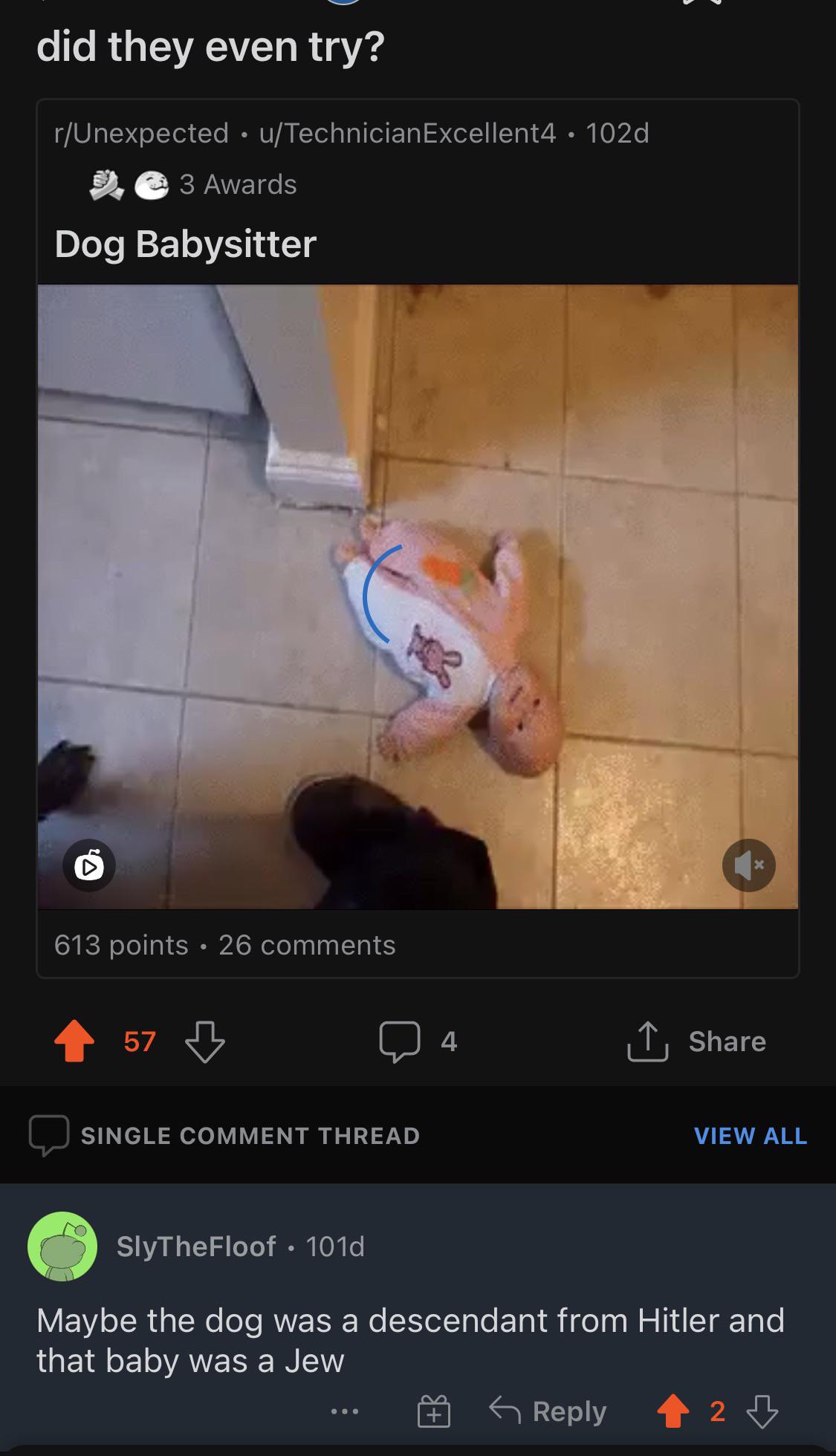 cursed dog | Scrolller