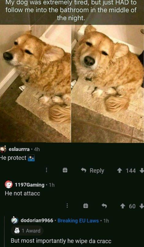 Cursed_doggy | Scrolller