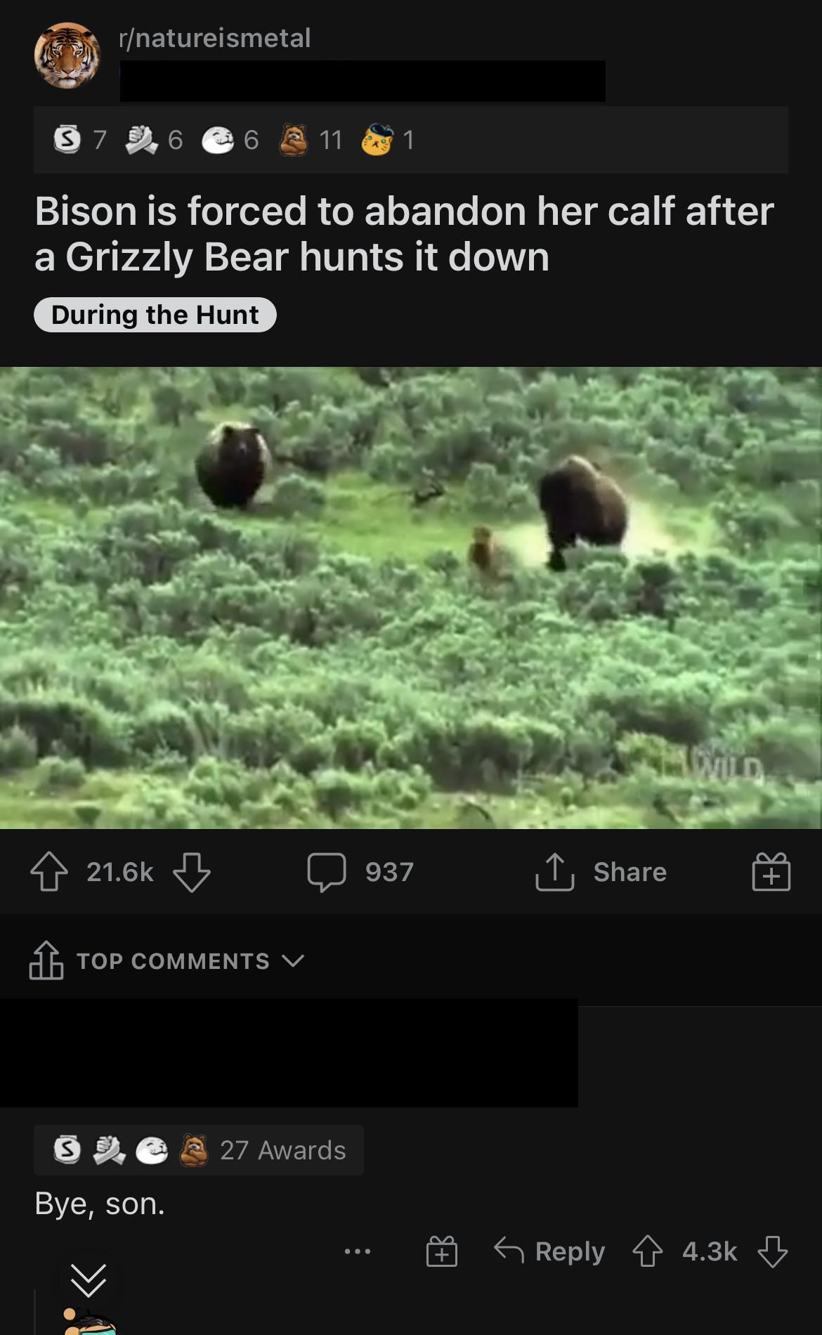 Cursed_Farewell | Scrolller