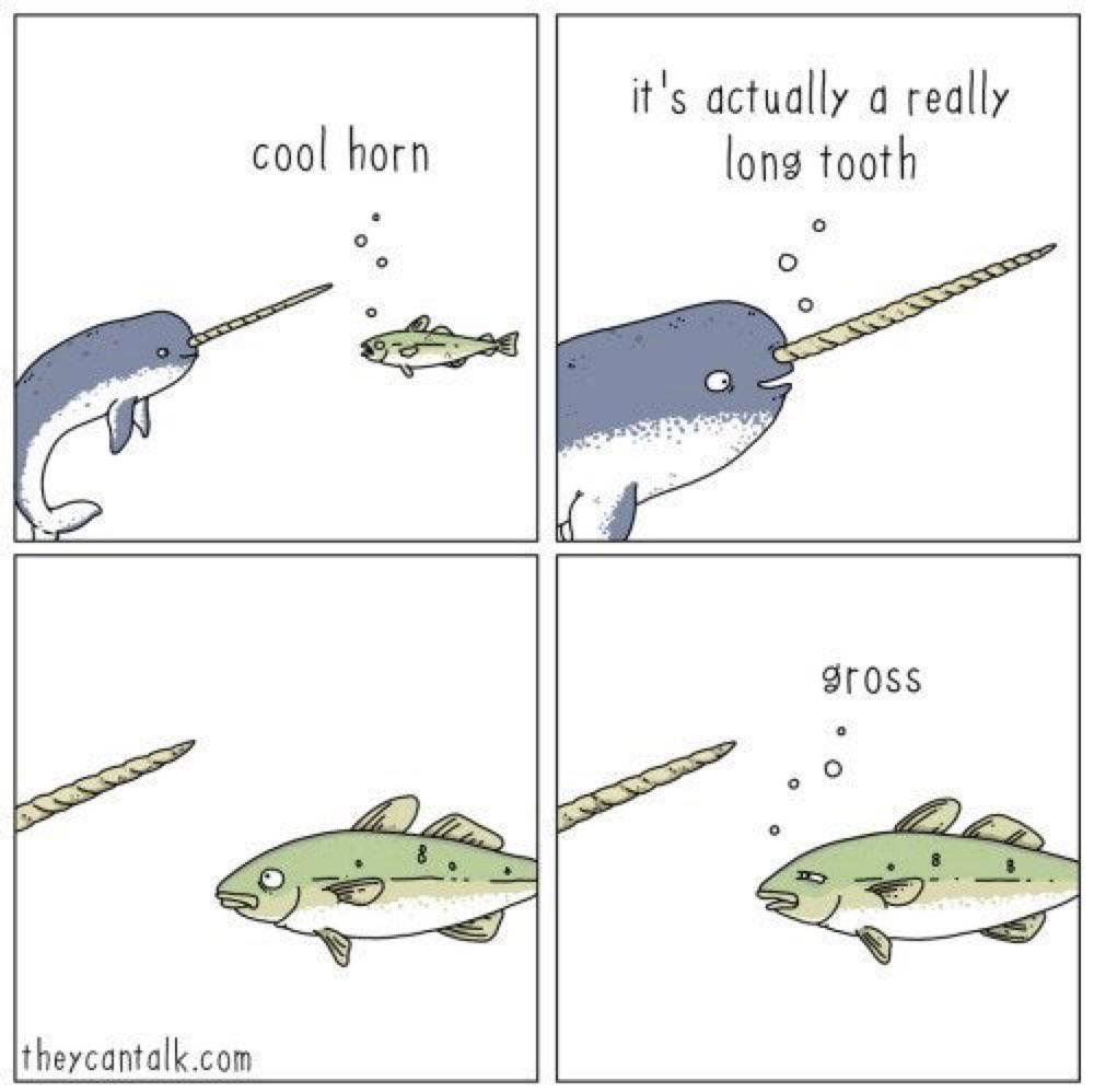 Cursed fish | Scrolller