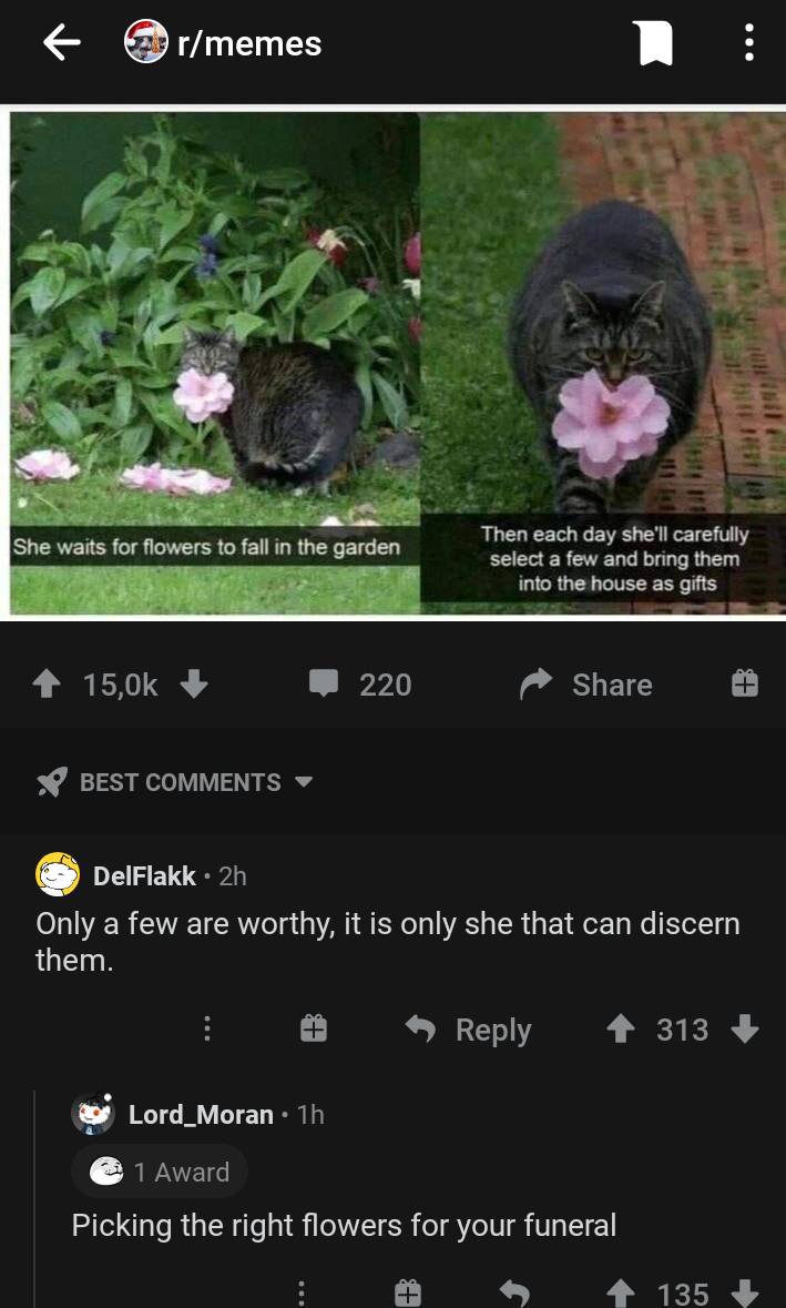 Cursed Flowers Scrolller