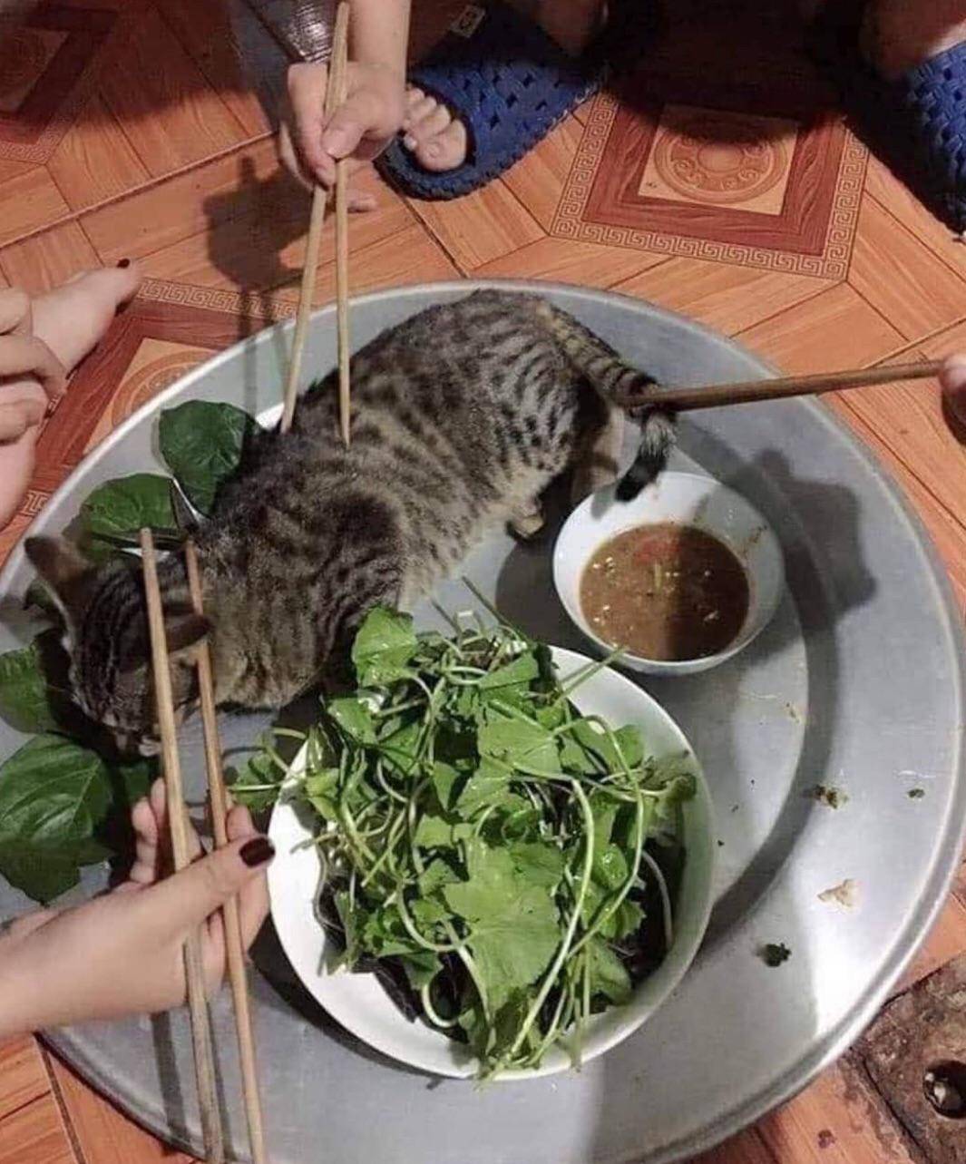 Cursed_food | Scrolller