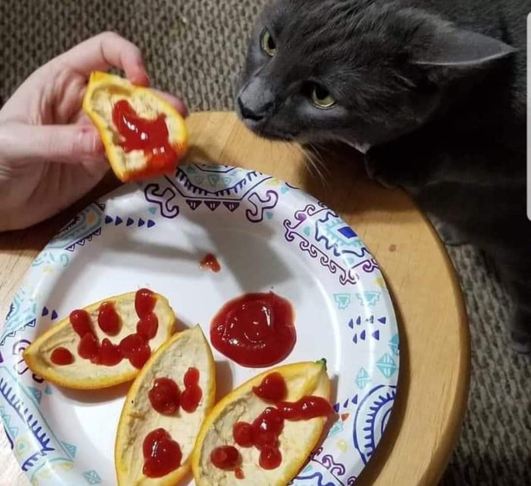 Cursed Fruit Salad | Scrolller