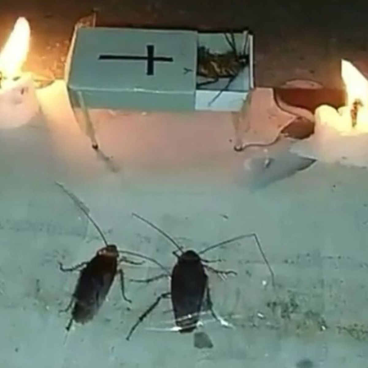 Cursed Funeral Service | Scrolller