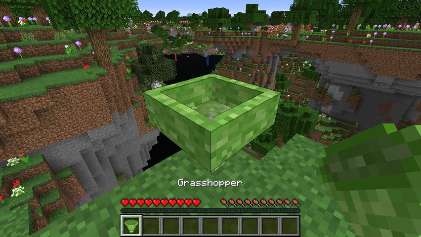 Cursed grasshopper | Scrolller