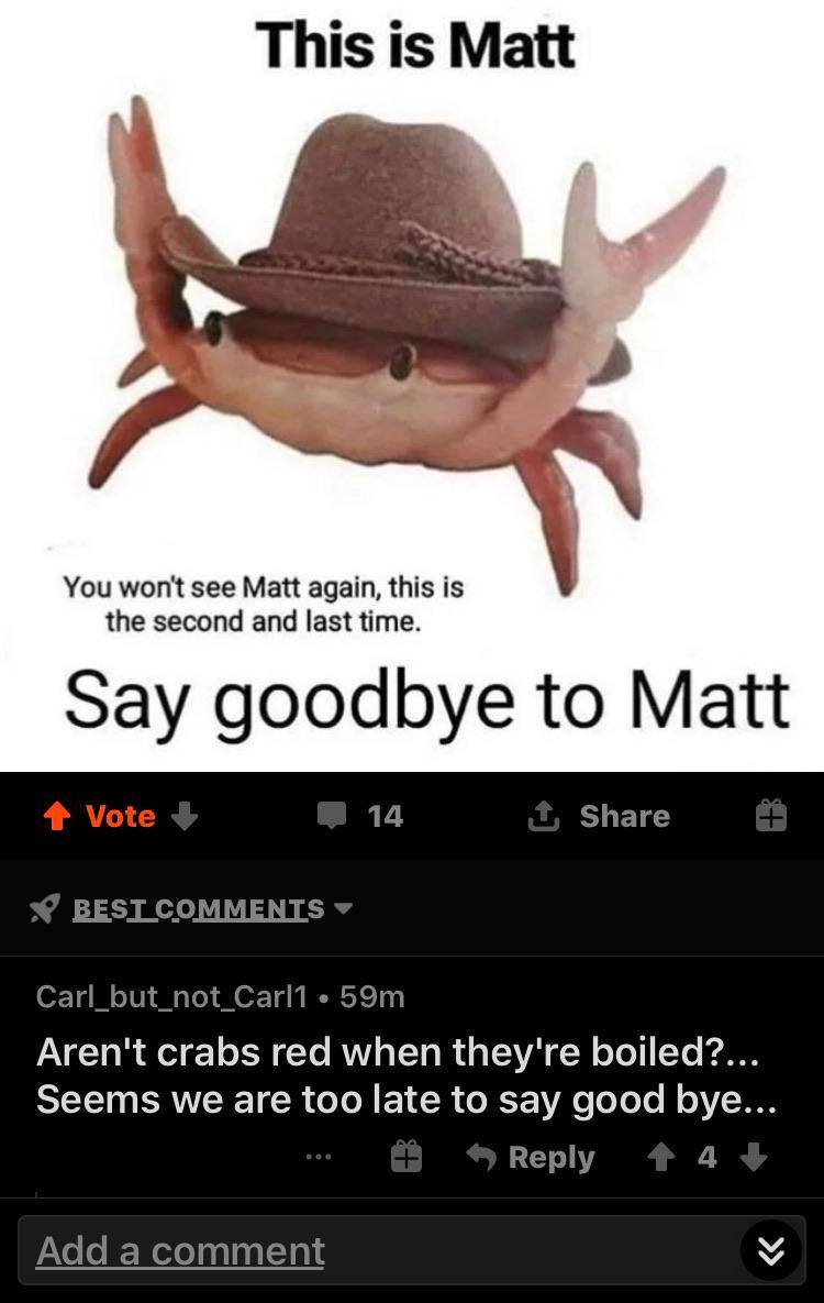 cursed_matt | Scrolller