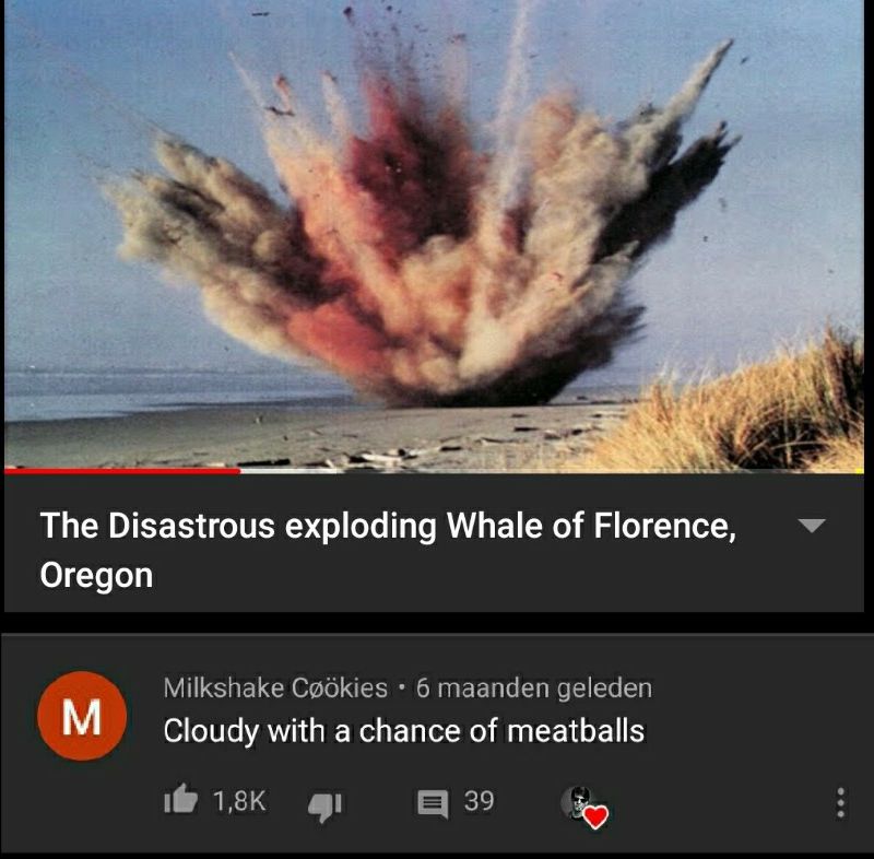 Cursed_meal | Scrolller