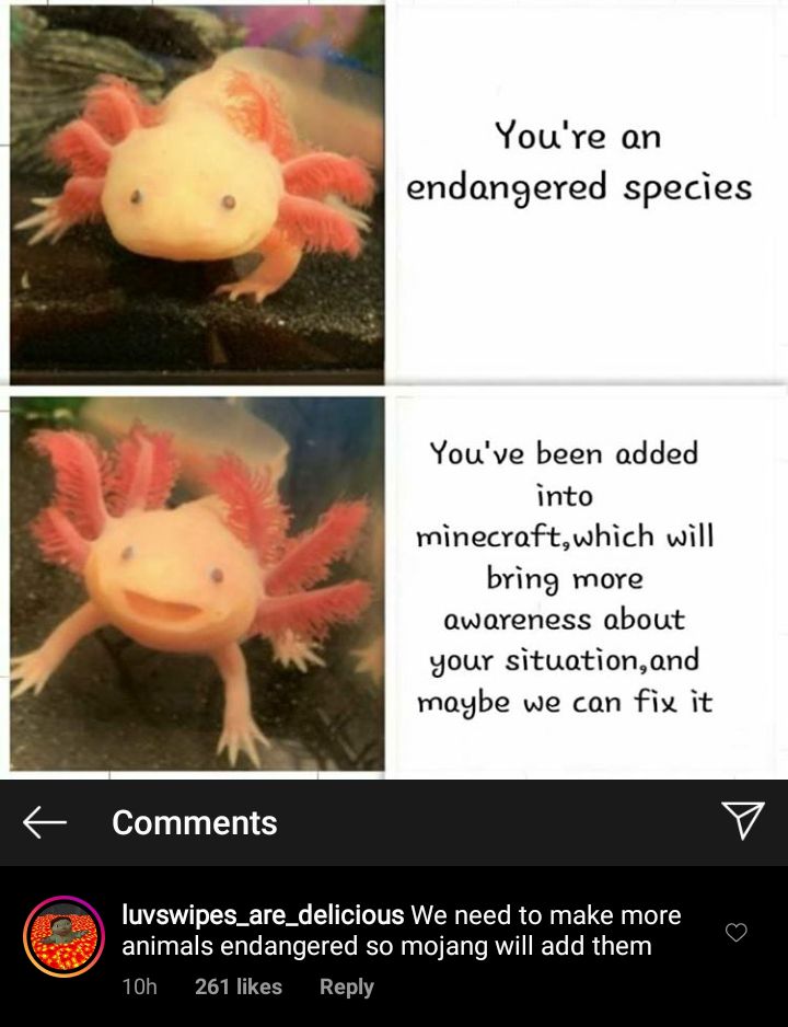 Cursed_Minecraft | Scrolller