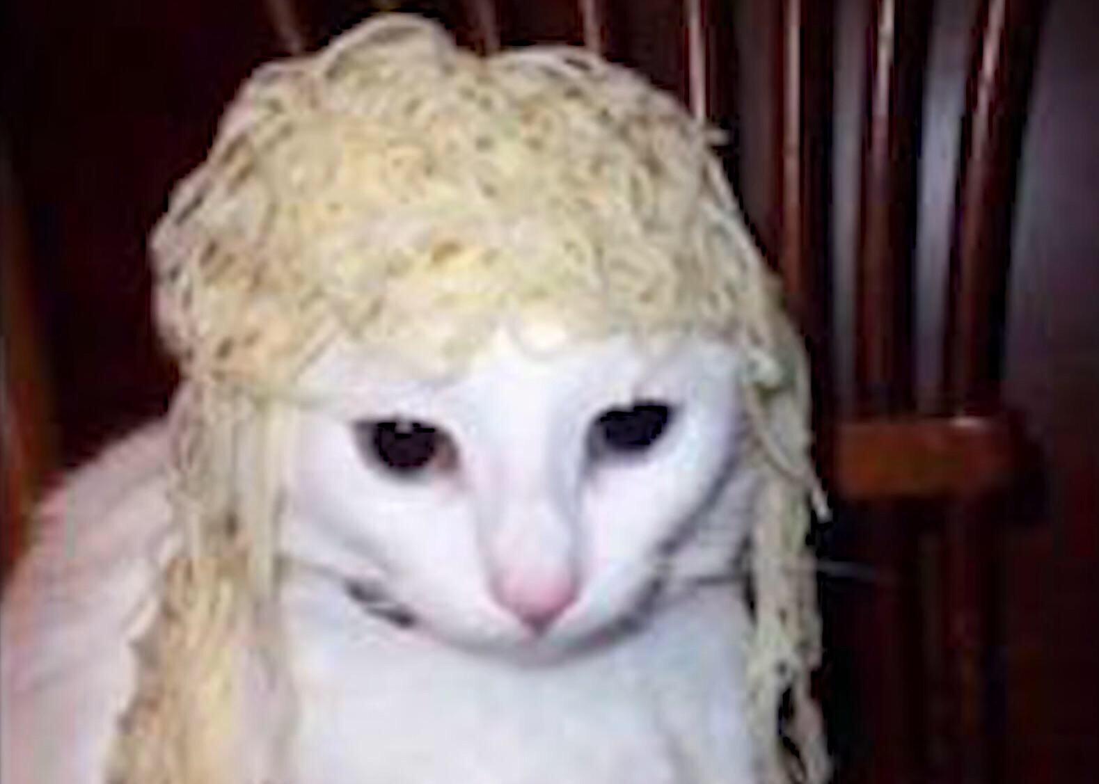 Cursed noodle head | Scrolller