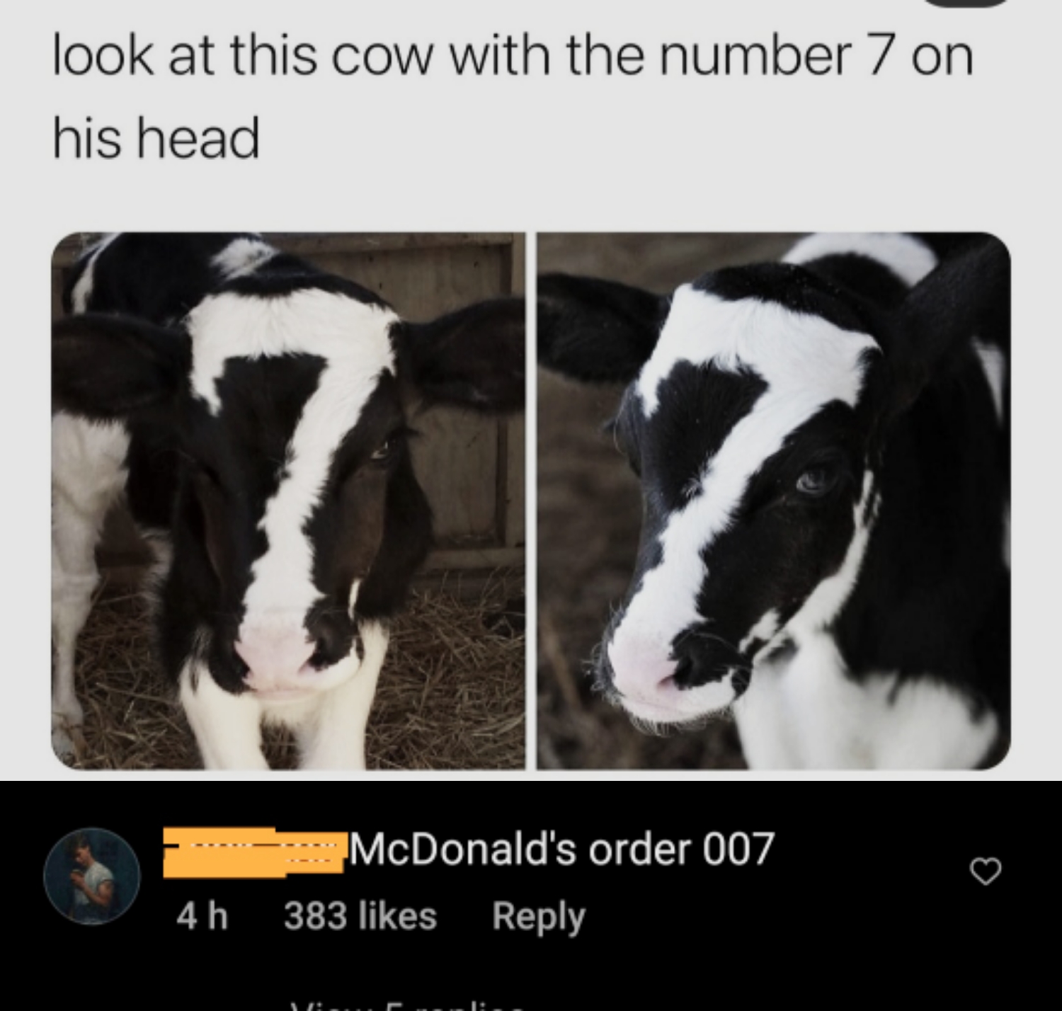 Cursed_Number | Scrolller