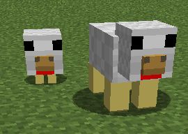 cursed_pig | Scrolller