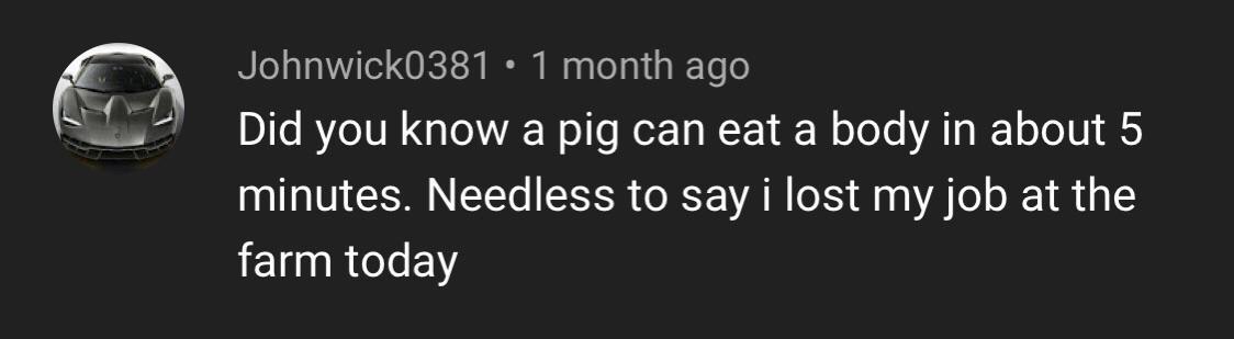 Cursed_Pigs | Scrolller