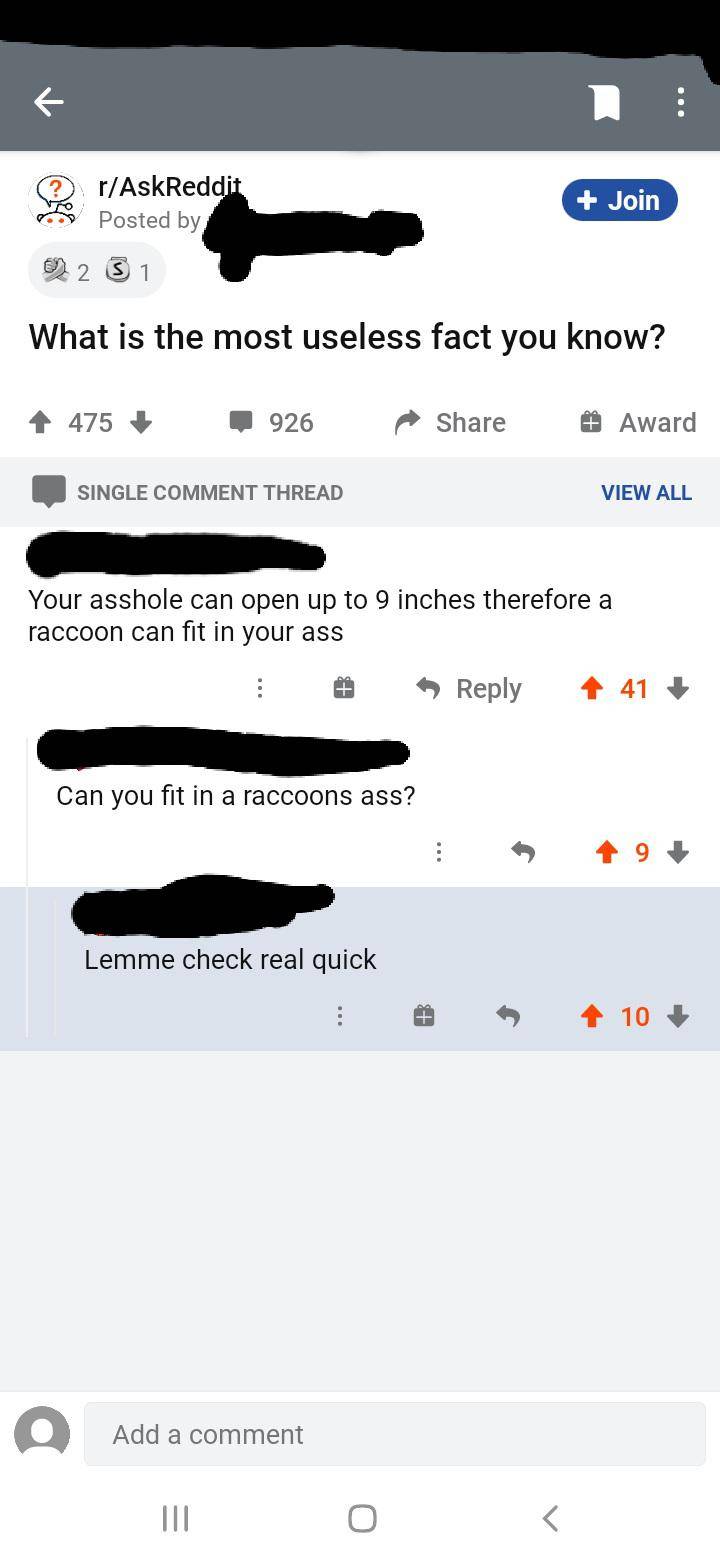 Cursed_Raccoon | Scrolller