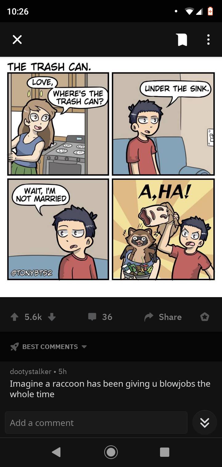 Cursed_racoon | Scrolller