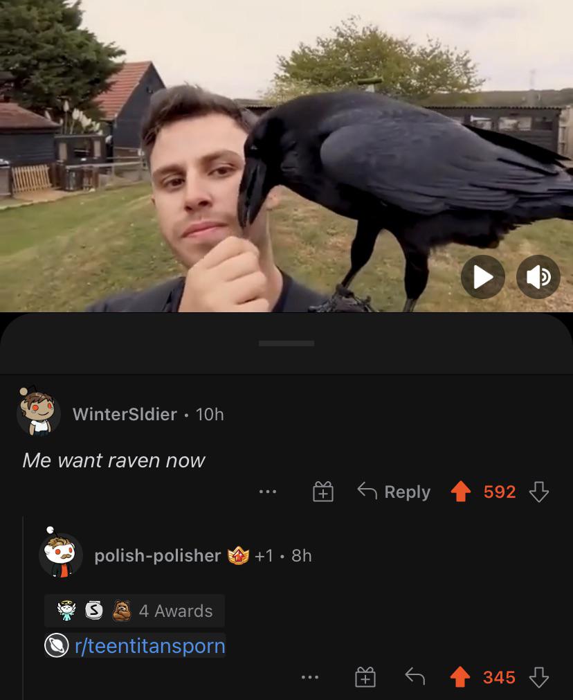 Cursed_Raven | Scrolller